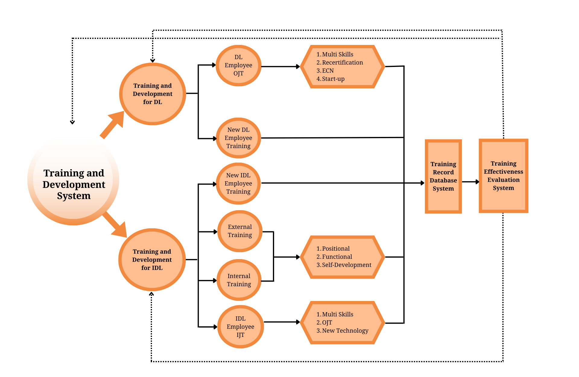 Training & Development